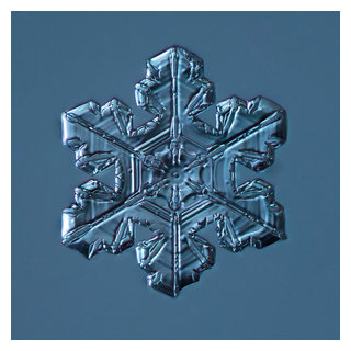 Stellar Plate Snowflake 3.03.23.2014 Print, 8" x 10" - Contemporary ...