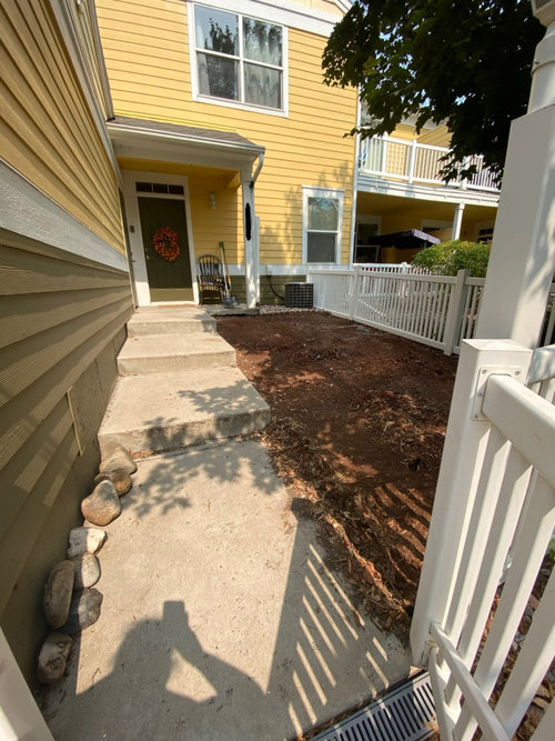 Need help creating a low maintenance yard