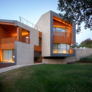 75 Beautiful Split-Level Exterior Home With A Shed Roof Pictures ...