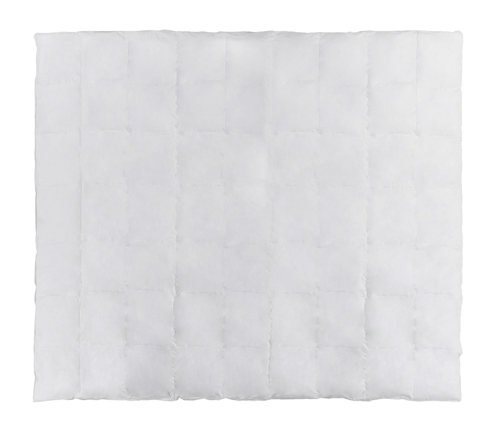 King Sham Insert, 20"x36", King - Traditional - Duvet Inserts - by ...