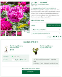 2019 USA New Rose Introductions | Houzz Forum