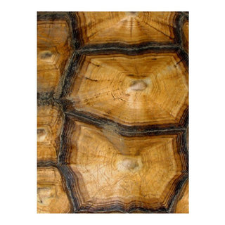 "Carapaced Motif VII" Fine Art Piece, 30"x40" - Contemporary - Fine Art ...