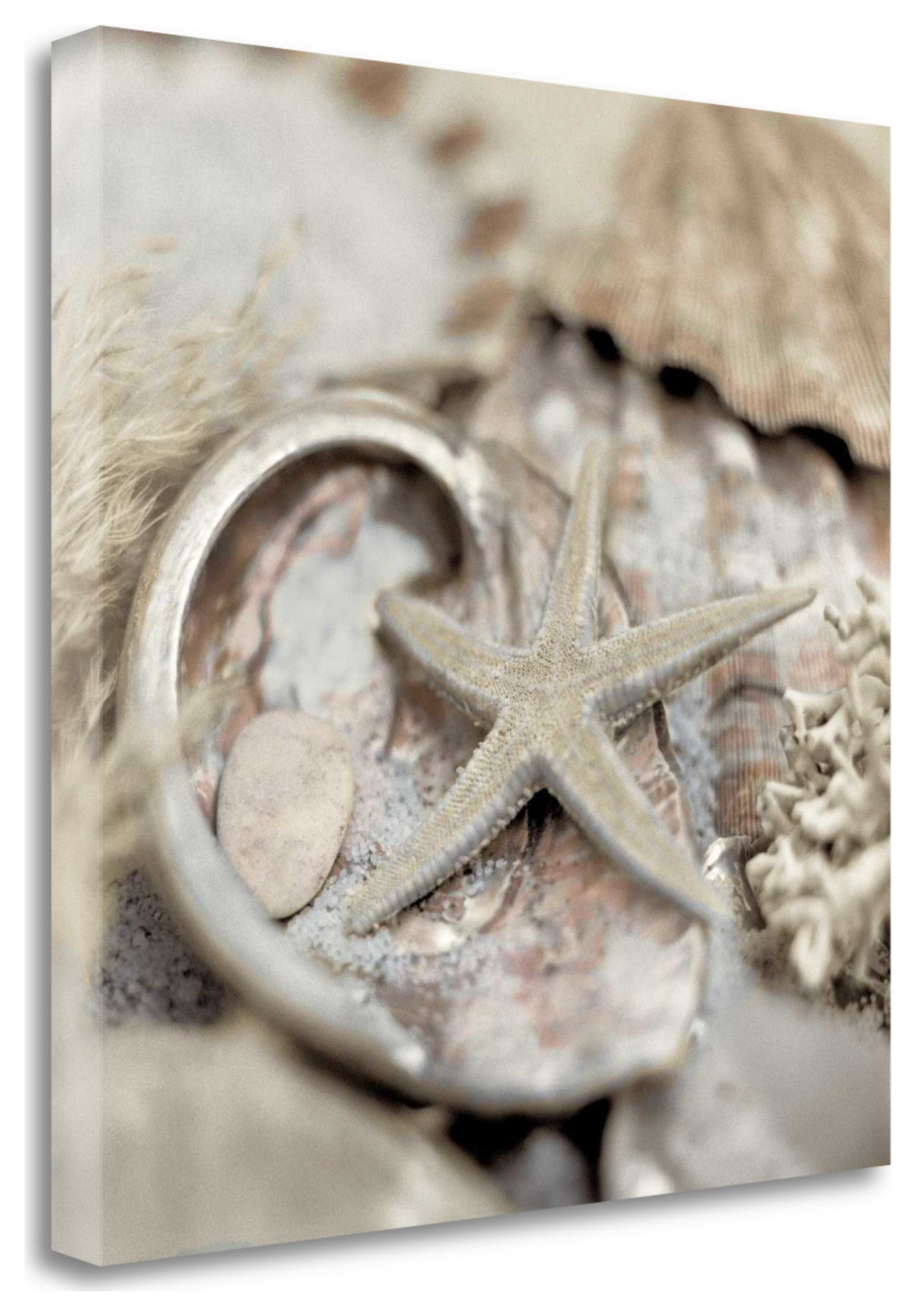 15" Sandy Starfish and Seashells 2 Giclee Wrap Canvas Wall Art - Beach ...