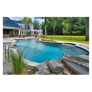 Naperville, IL Freeform Swimming Pool with Raised Hot Tub - Classique ...
