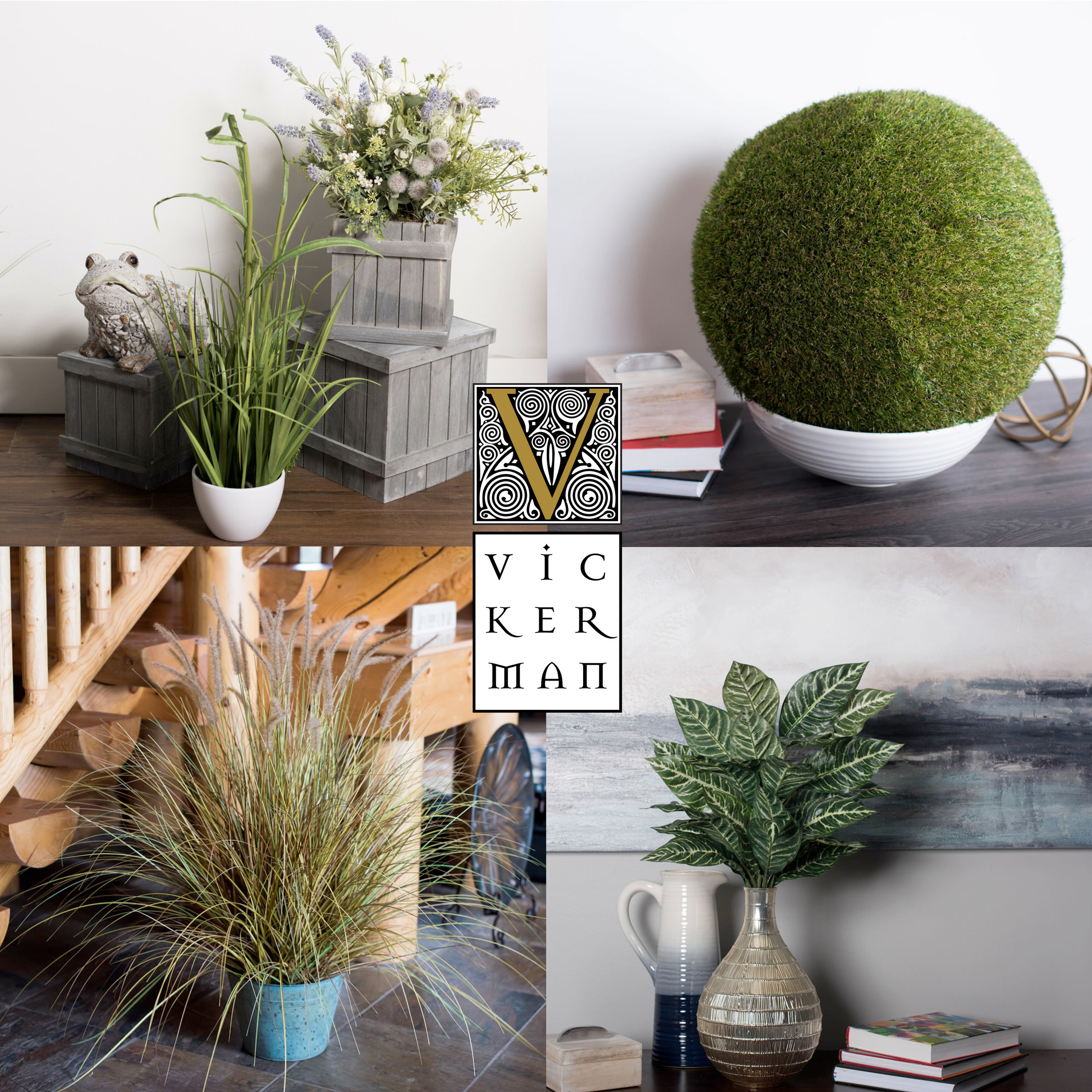 Vickerman 3.5" Succulents Assorted Set Pk/4 - Traditional - Christmas ...