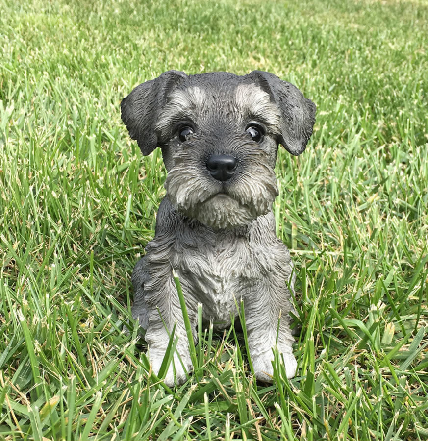 Realistic Miniature Schnauzer Puppy Garden Statue - Contemporary ...