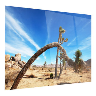 "Curved Joshua Tree in Desert", 48"x40" - Southwestern - Metal Wall Art ...