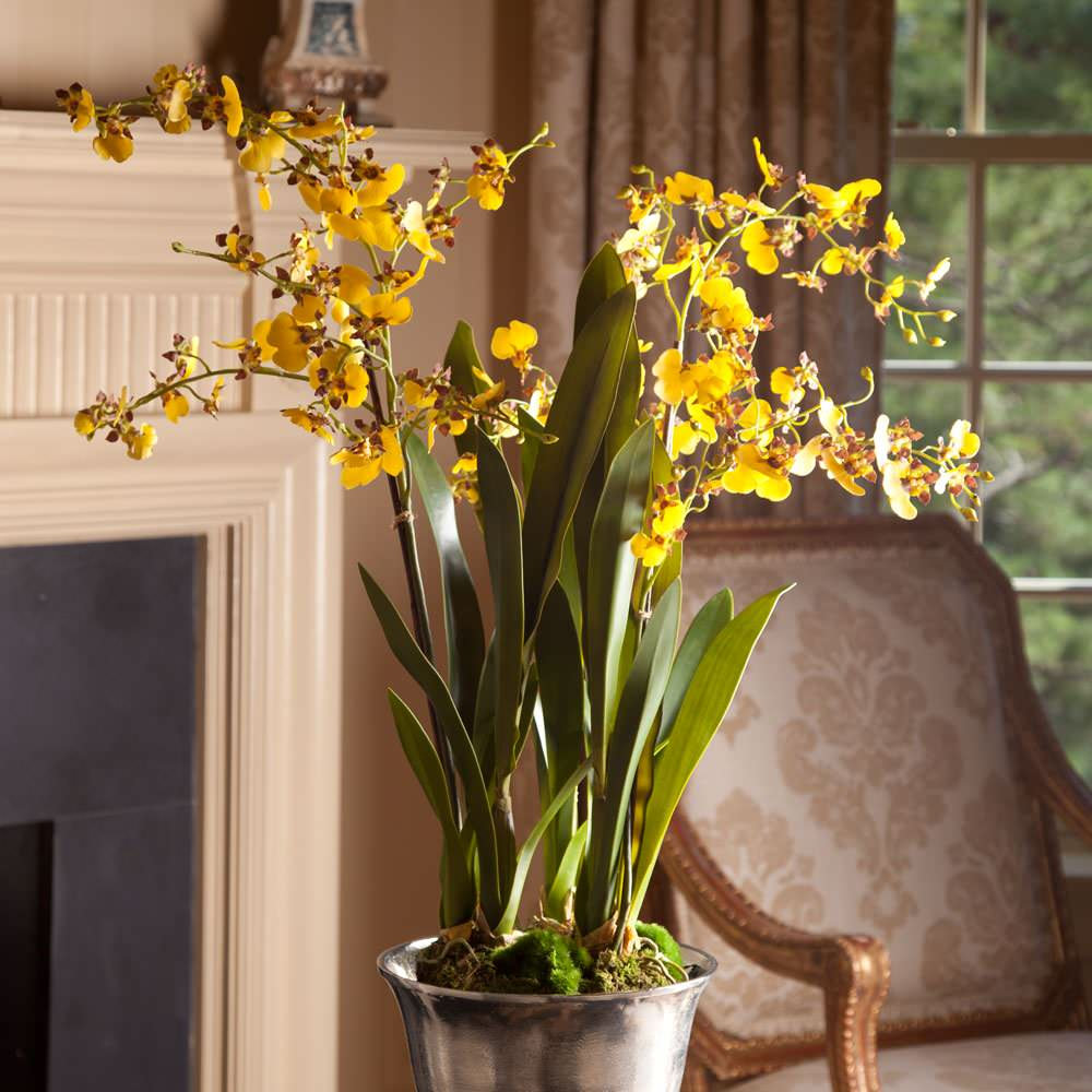 Dancing Orchid Drop-In with Root Ball, 32" - Artificial Plants And ...