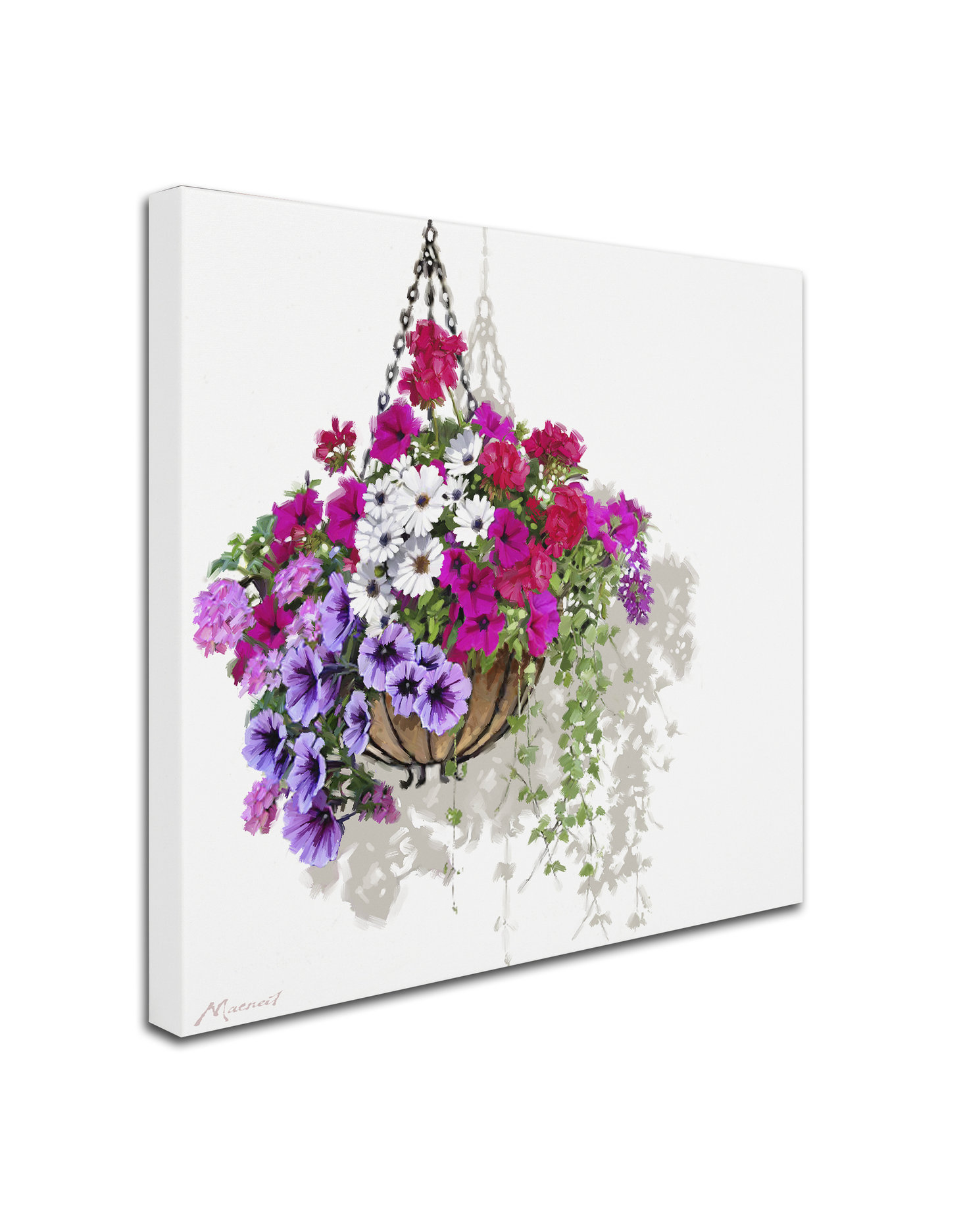 The Macneil Studio 'Hanging Basket' Canvas Art, 14"x14" - Contemporary ...