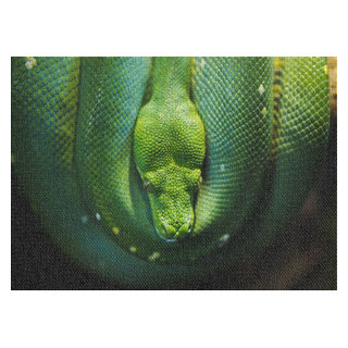 Sharp Colors 458 Area Rug, 5'0"x7'0" - Contemporary - Novelty Rugs - by ...