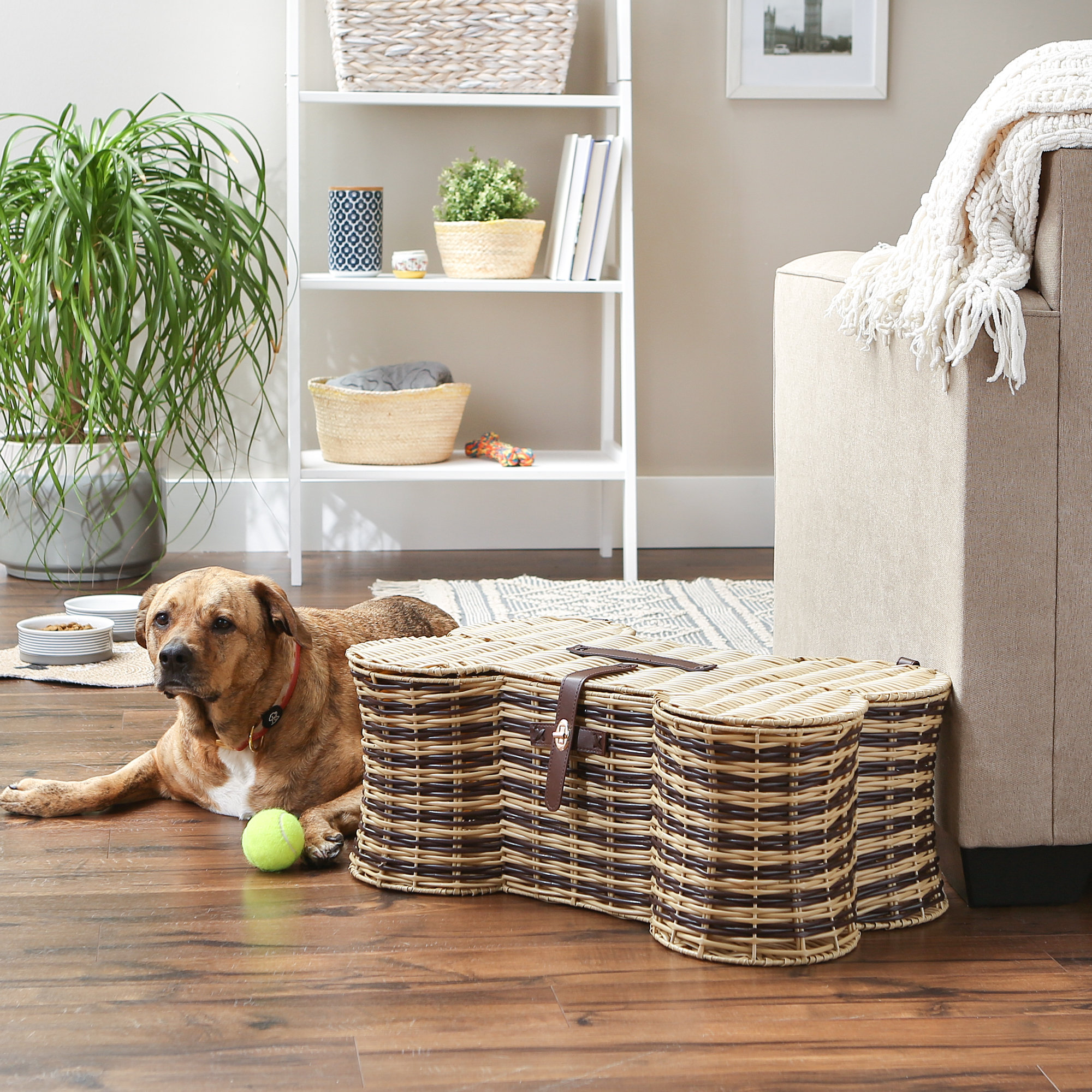 Stripe Bone Shape Toy Basket Large 24x15x9 - Pet Supplies - by Design ...