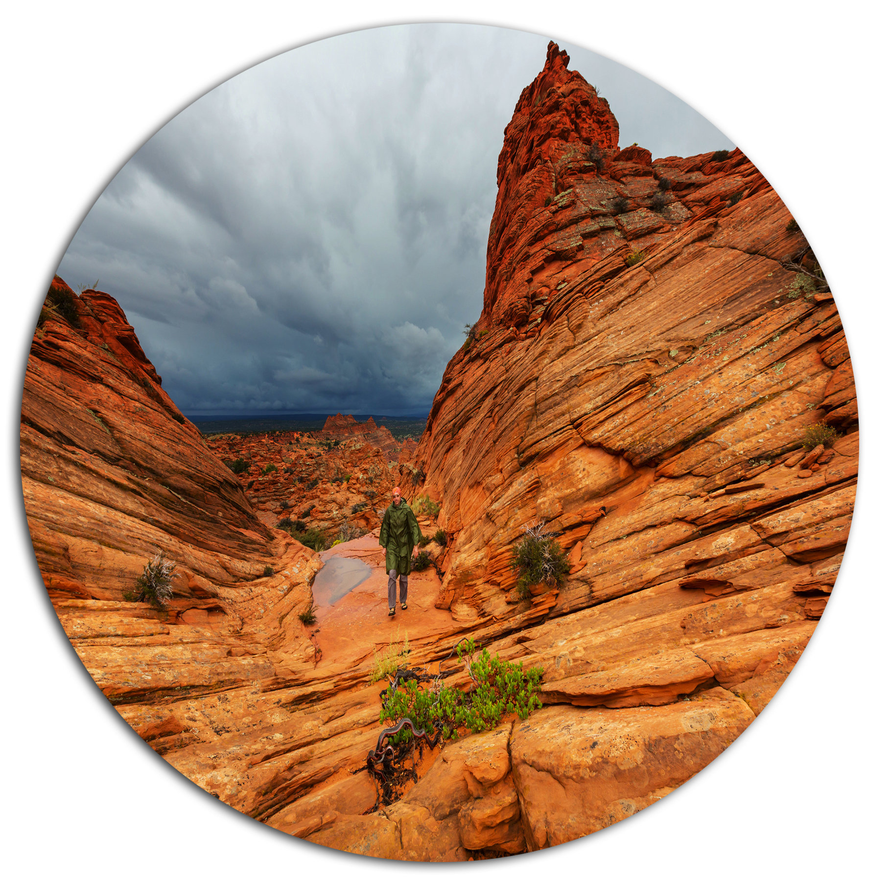 Vermillion Cliffs Wilderness, Landscape Round Wall Art, Disc of 36 inch ...