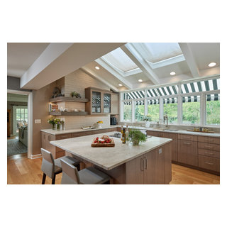 Oak Knoll Renovation - Contemporary - Kitchen - Chicago - by Vertical ...