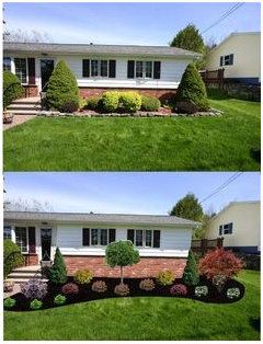 HELP! Snout House Needs Ideas! Is curb appeal possible? | Houzz Forum