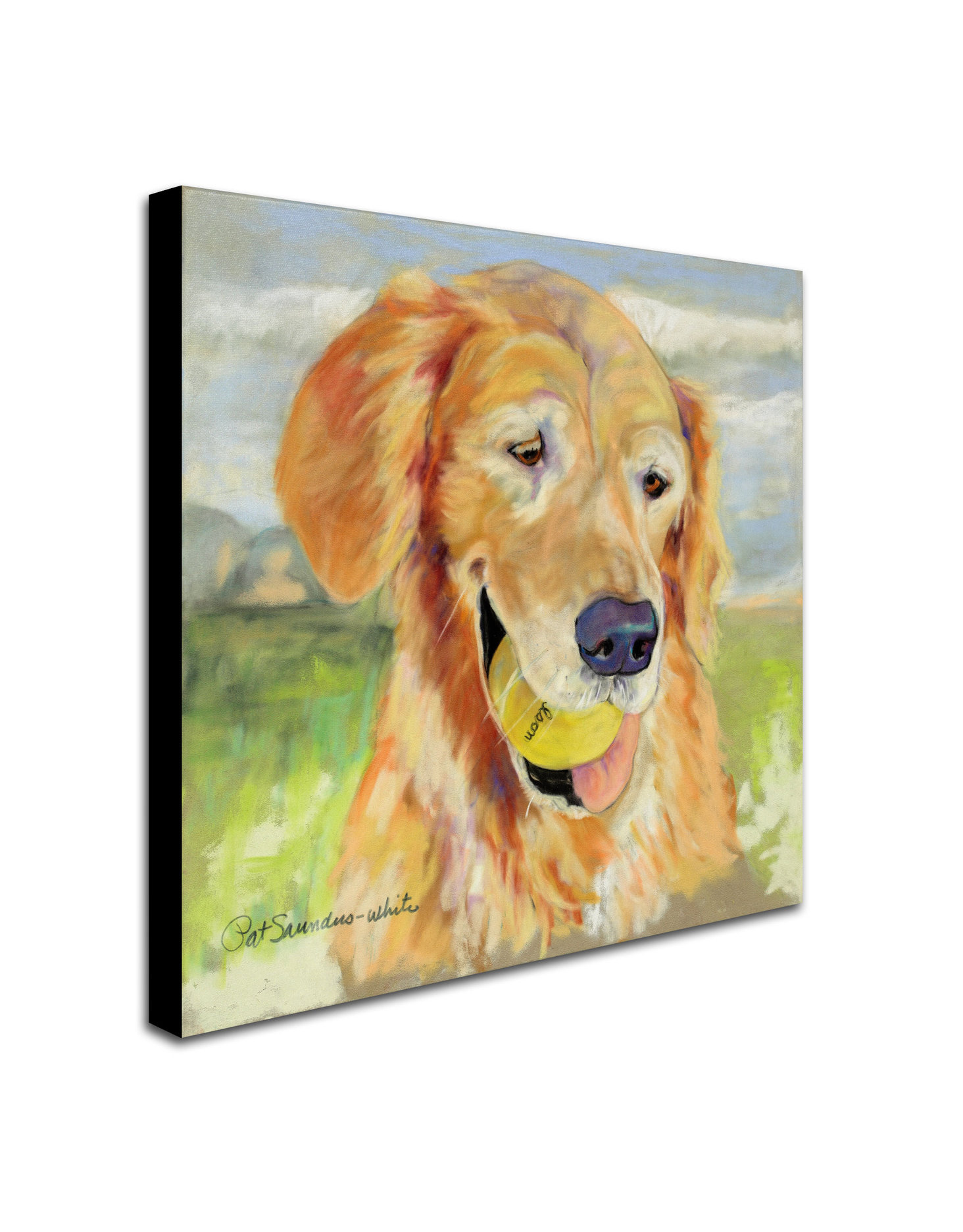 'Gus' Canvas Art by Pat Saunders-White, 14" x 14" - Traditional ...