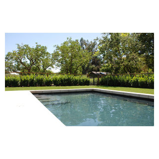 St. Helena Pool and Pool House - Pool - San Francisco - by Jennifer ...