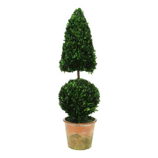 Mark Roberts Spring 2020 Box Wood Topiary Cone & Ball, 42 ...