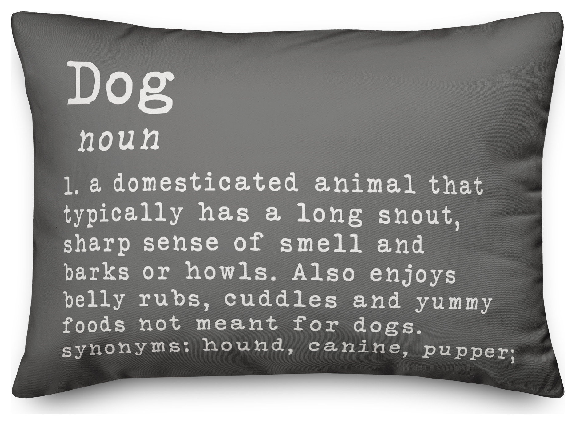 Dog Definition 14x20 Spun Poly Pillow, 14x20 - Contemporary ...