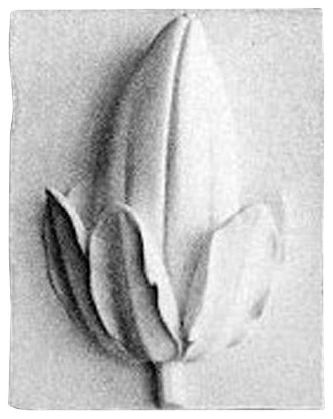 Pod Plaque, Wall Plaques - Contemporary - Outdoor Wall Art - by ...