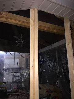 Experience with Crestline's Acclaim All Fiberglass Windows?