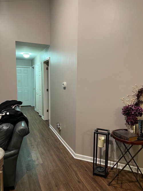 Dining and Living Room Flip?