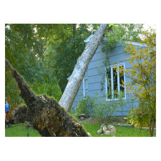 Emergency Tree Service Virginia Beach - Exterior - Other - by Tracstar ...