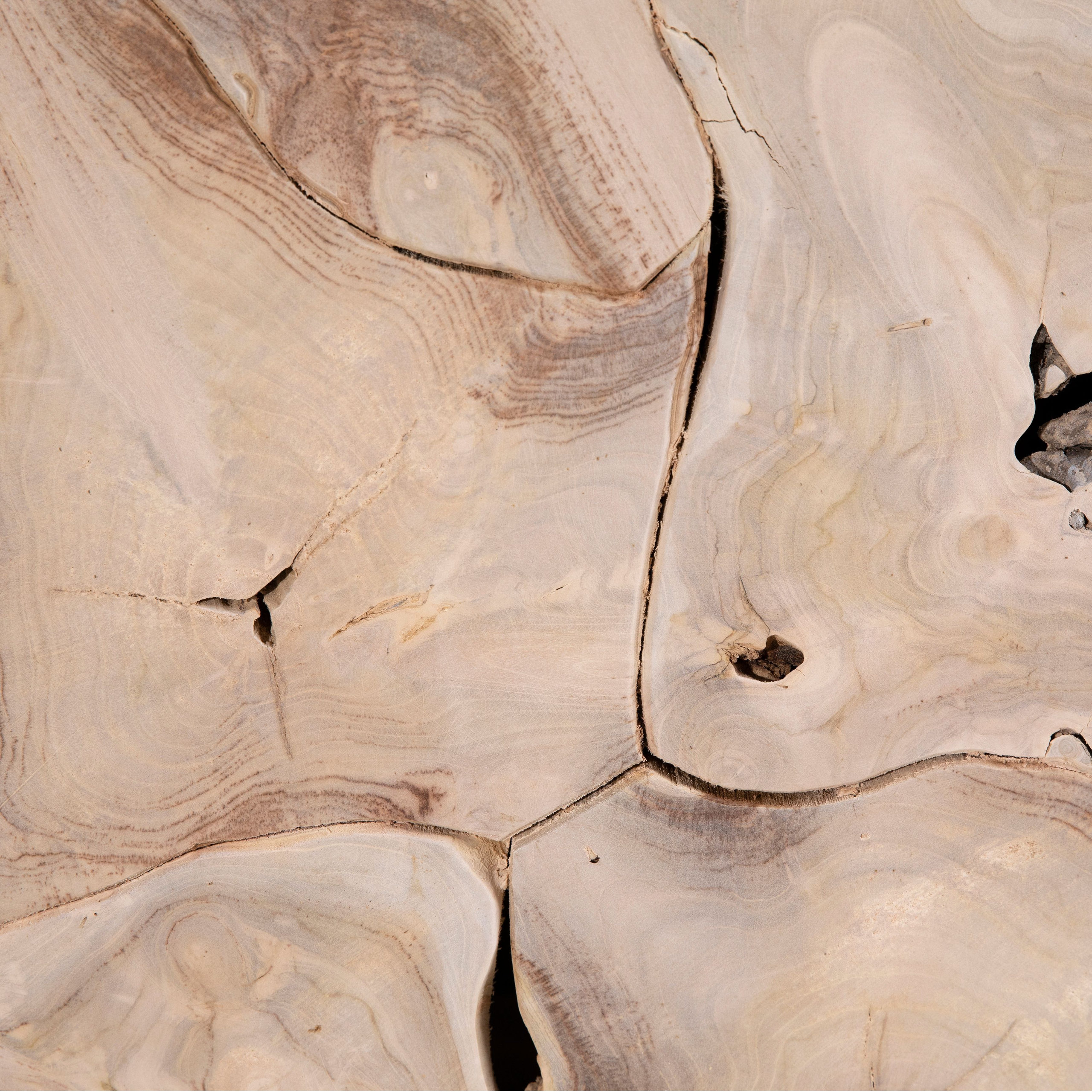 Scarlett 79" Rectangular Teak Root Double Pedestal Base Glass Top ...