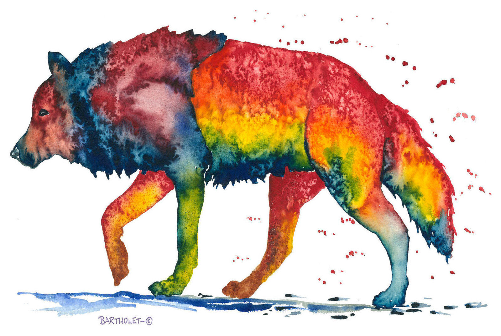 Dave Bartholet Rainbow Wolf Art Print, 9"x12" - Rustic - Prints And ...
