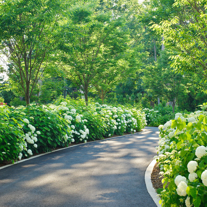 75 Most Popular Driveway Design Ideas for 2019 - Stylish Driveway ...