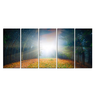 "Rising Sun Over Colorful Forest" Landscape Photo Wall Art, 60"x28" 5 ...