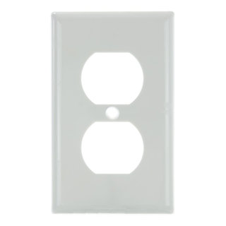 Sunlite E211/W 1 Gang Duplex Receptacle Plate, White - Transitional ...