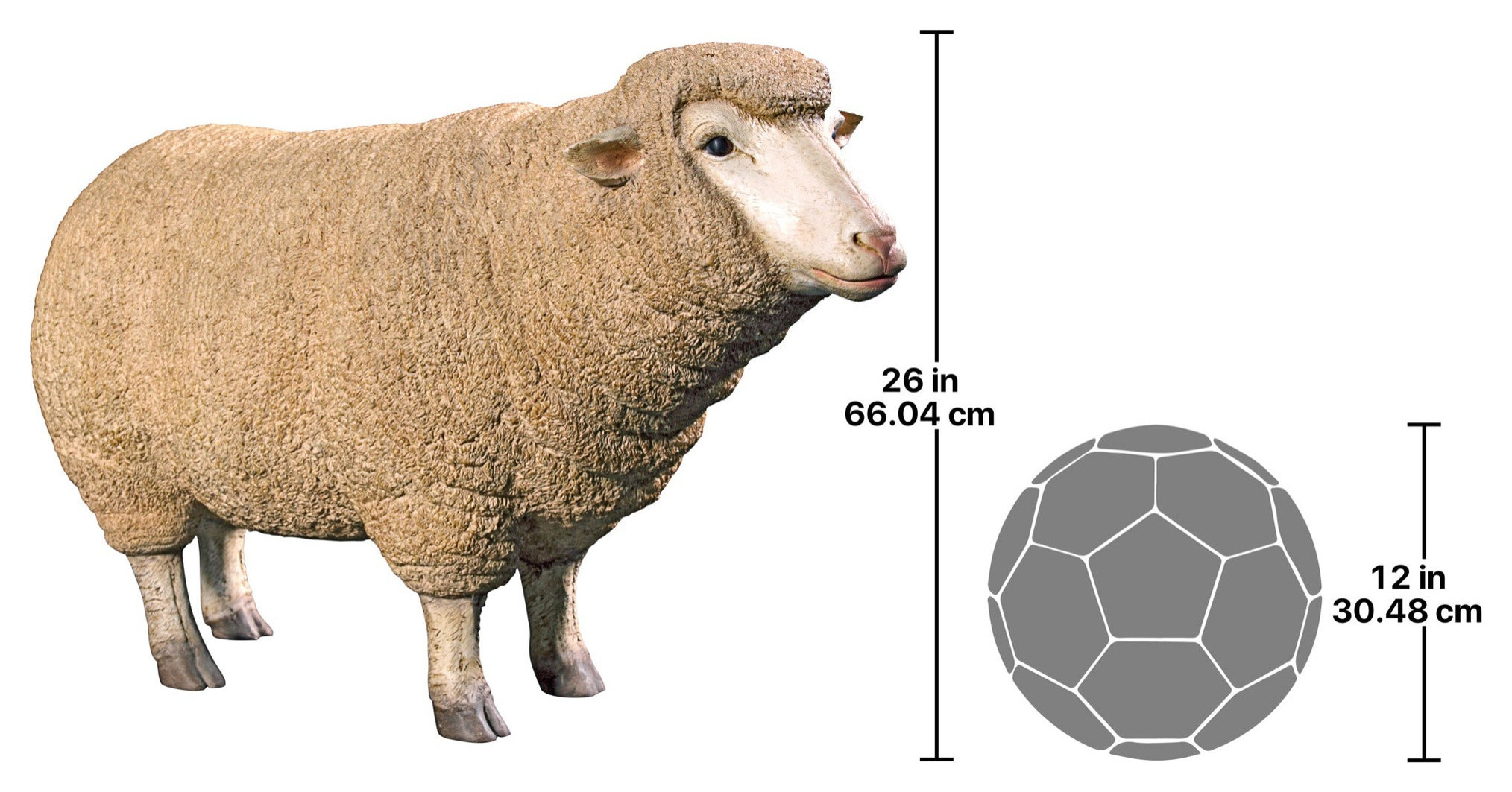 Merino Ewe With Head Up - Farmhouse - Garden Statues And Yard Art - by ...