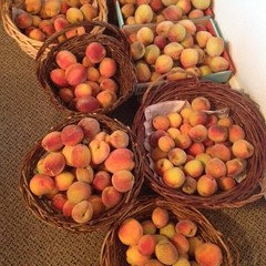 Thinning peaches - is it encouraged?