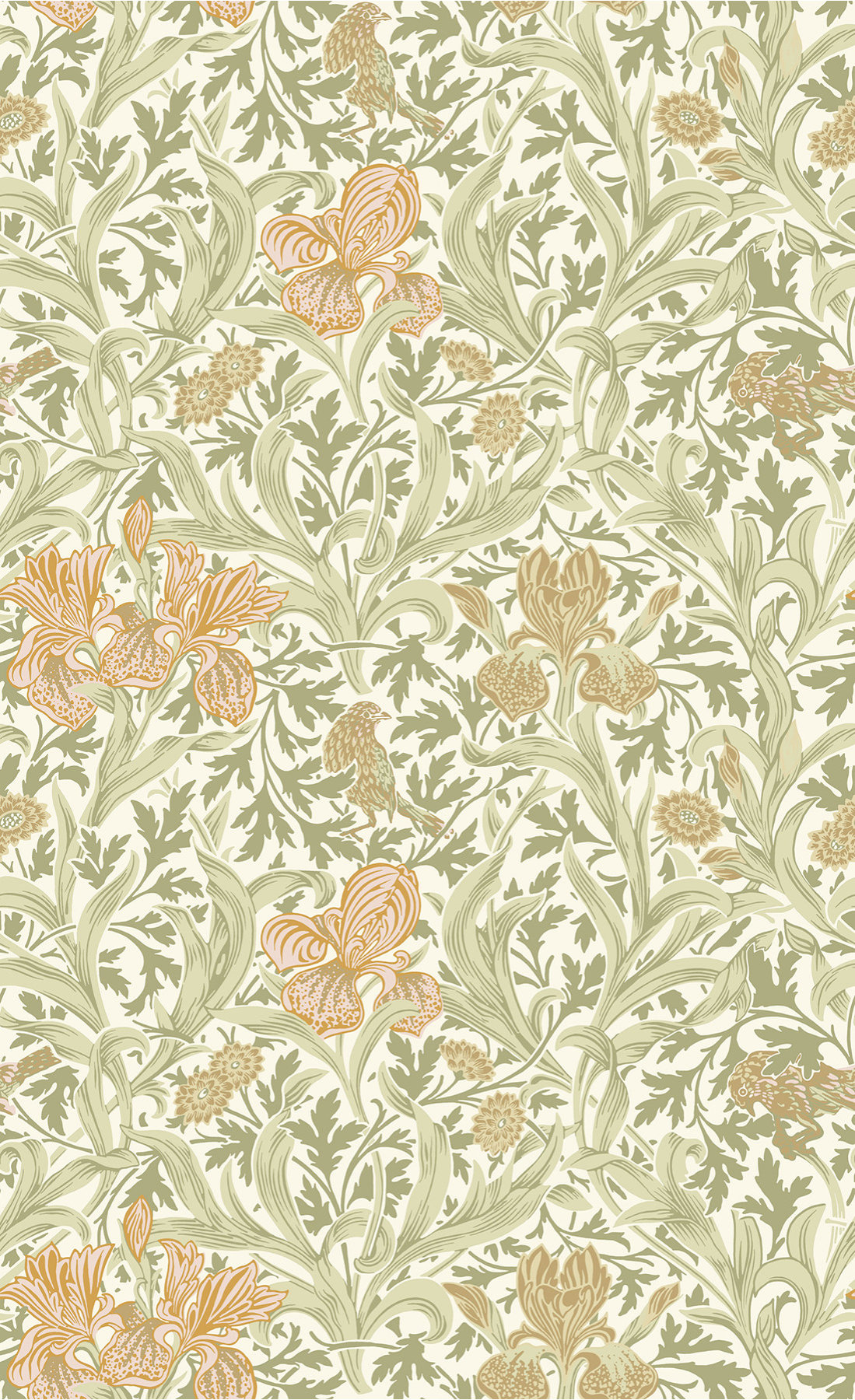 Iris Light Green Wild Gardens Wallpaper, Bolt - Traditional - Wallpaper ...