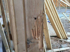 Framing - bad boards?