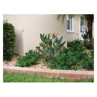 Beach Landscape - Beach Style - Landscape - Miami - by Evergreen ...