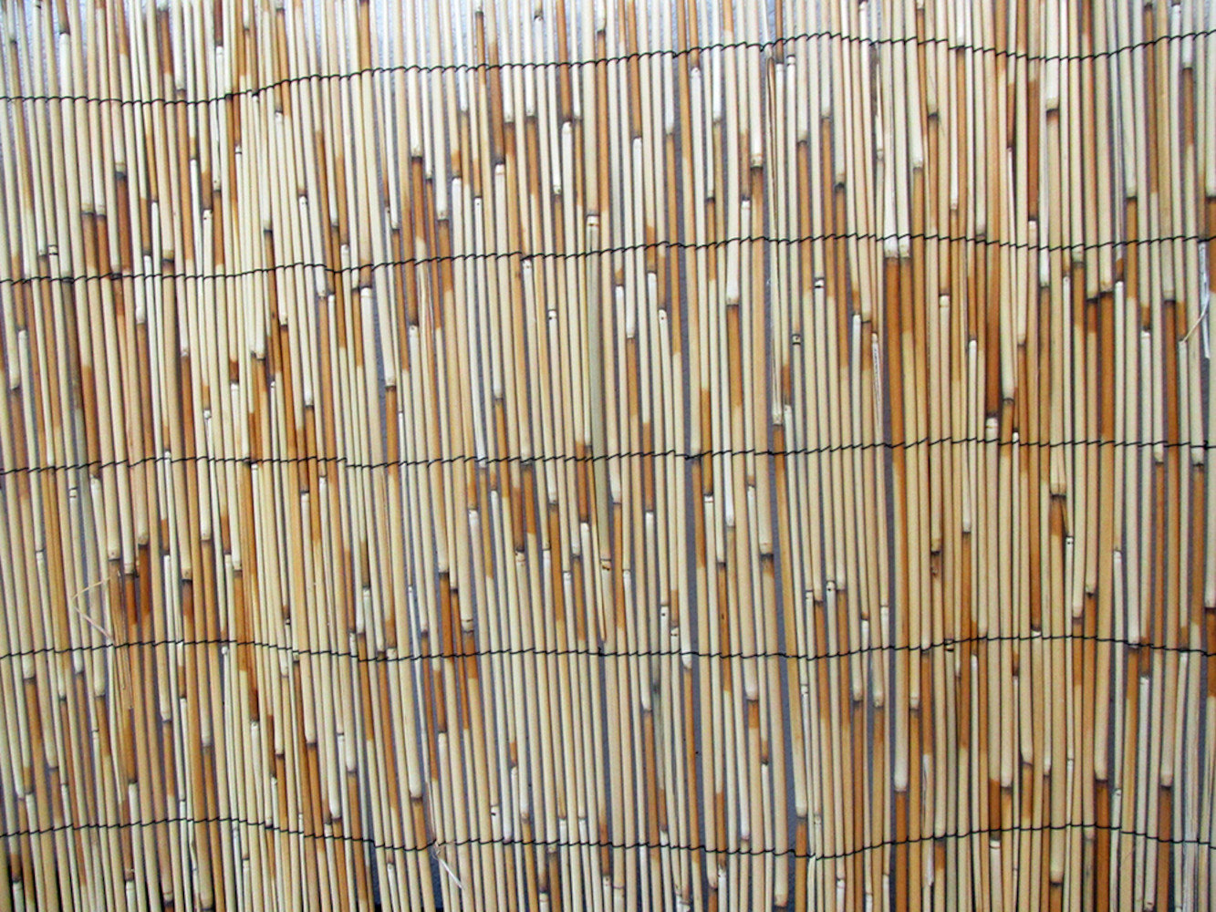 Natural Reed Fence - Tropical - Home Fencing And Gates - by Master ...