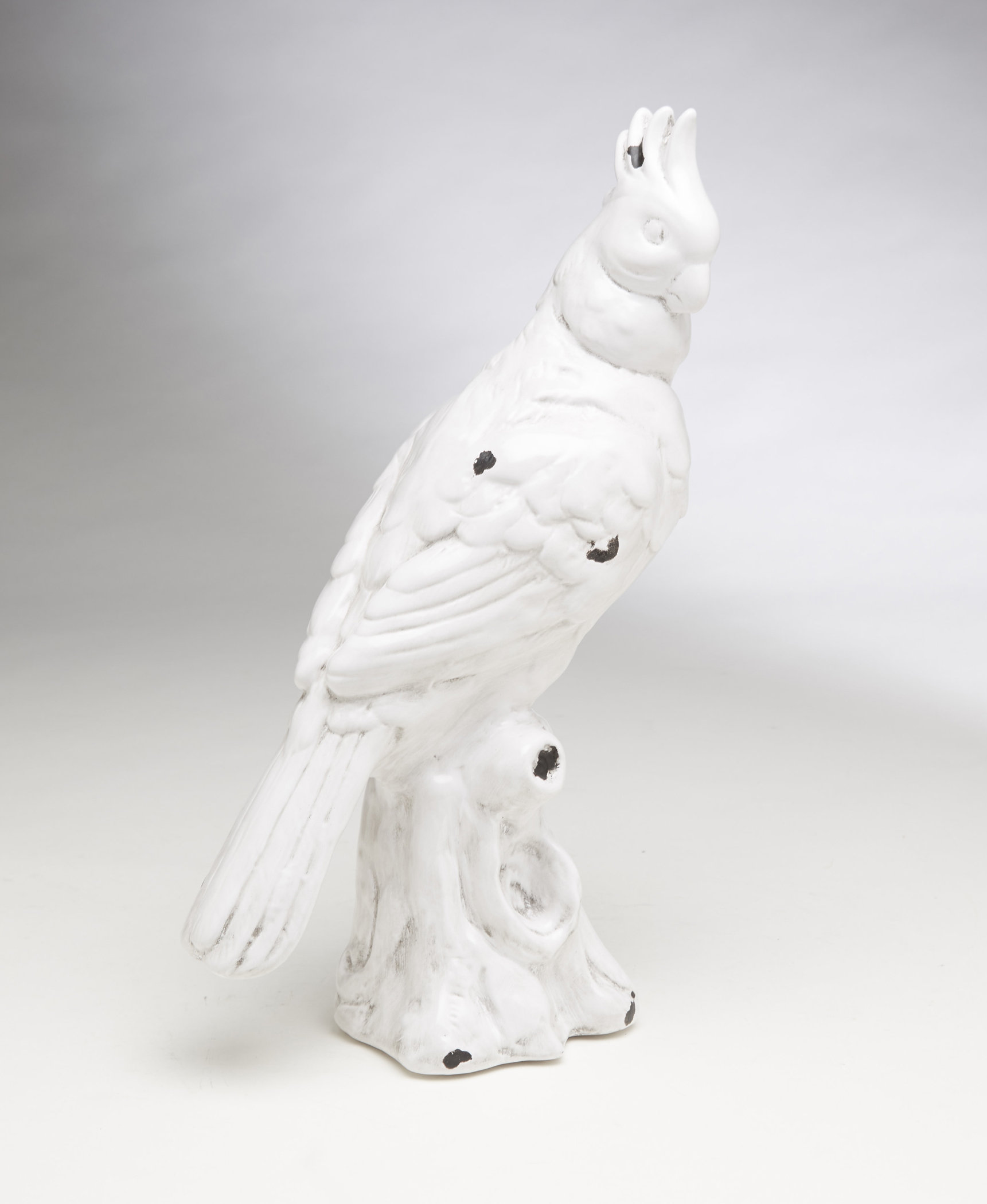 Cockatoo Ceramic Statue, Distressed White Finish - Tropical ...