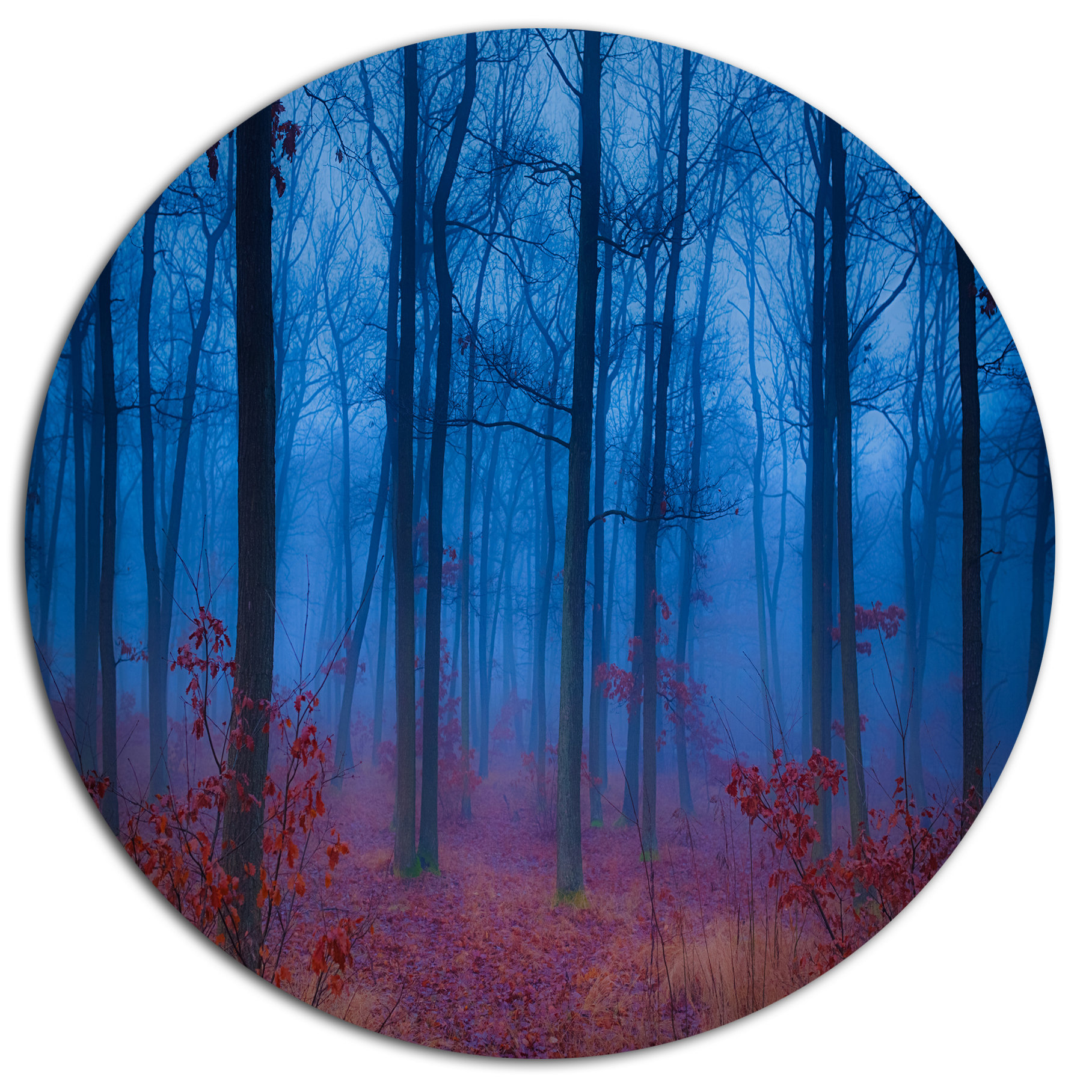 Mysterious Blue Thick Woods, Modern Forest Disc Metal Artwork, Disc of ...
