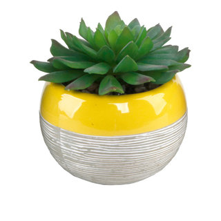 Succulent In Two Tone Lines Pattern Ceramic Pot ,Yellow - Contemporary ...