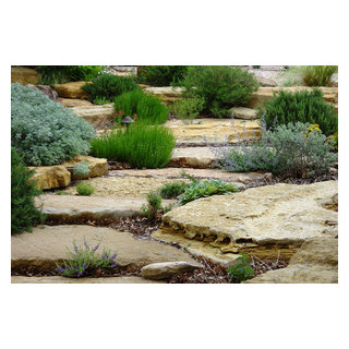 Stone Path - Landscape - Austin - by MasterScapes | Houzz
