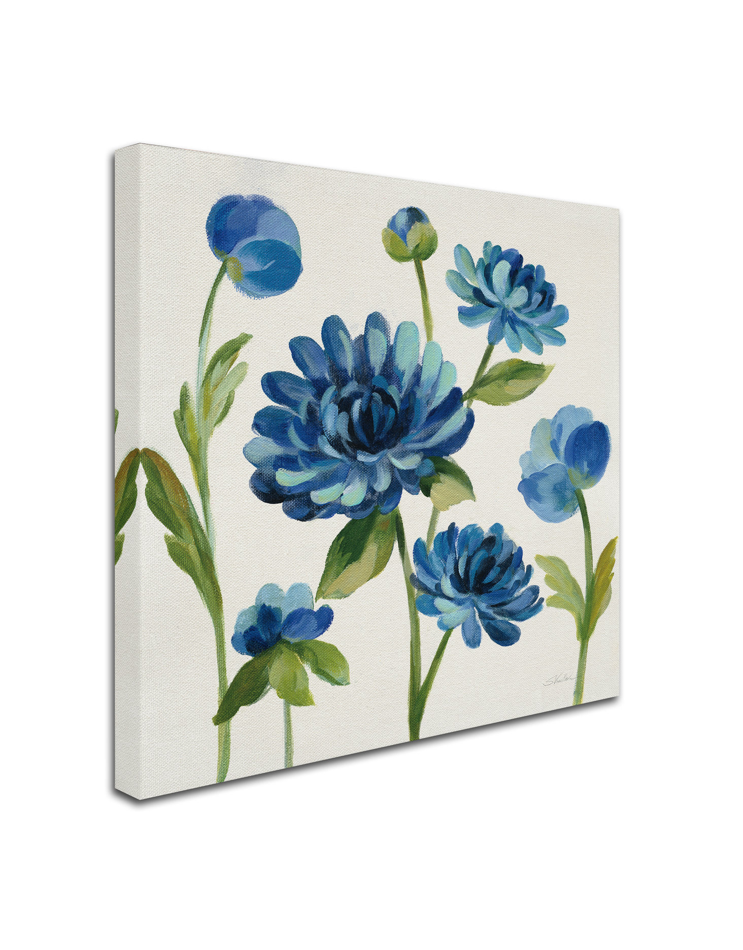 Silvia Vassileva 'Seaside Garden II' Canvas Art, 24"x 24 ...