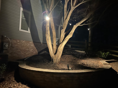 Are tree downlights too low?