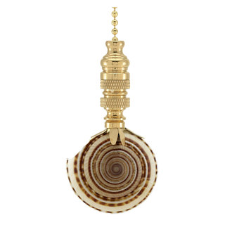 Sun Dial Sea Shell Ceiling Fan Pull, 3"h with 12" Polished Brass Chain ...