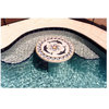Underwater Pool Decals For Bottom Of Pool Level Swimming Dolphin ...