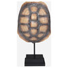 Faux Yellow Footed Tortoise Shell on Stand - Contemporary - Decorative ...