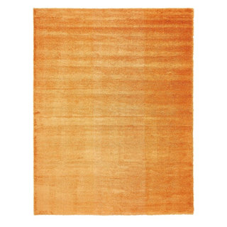 Shag Area Rug Splendid Shag Collection, 12'2"x16' - Contemporary - Area ...