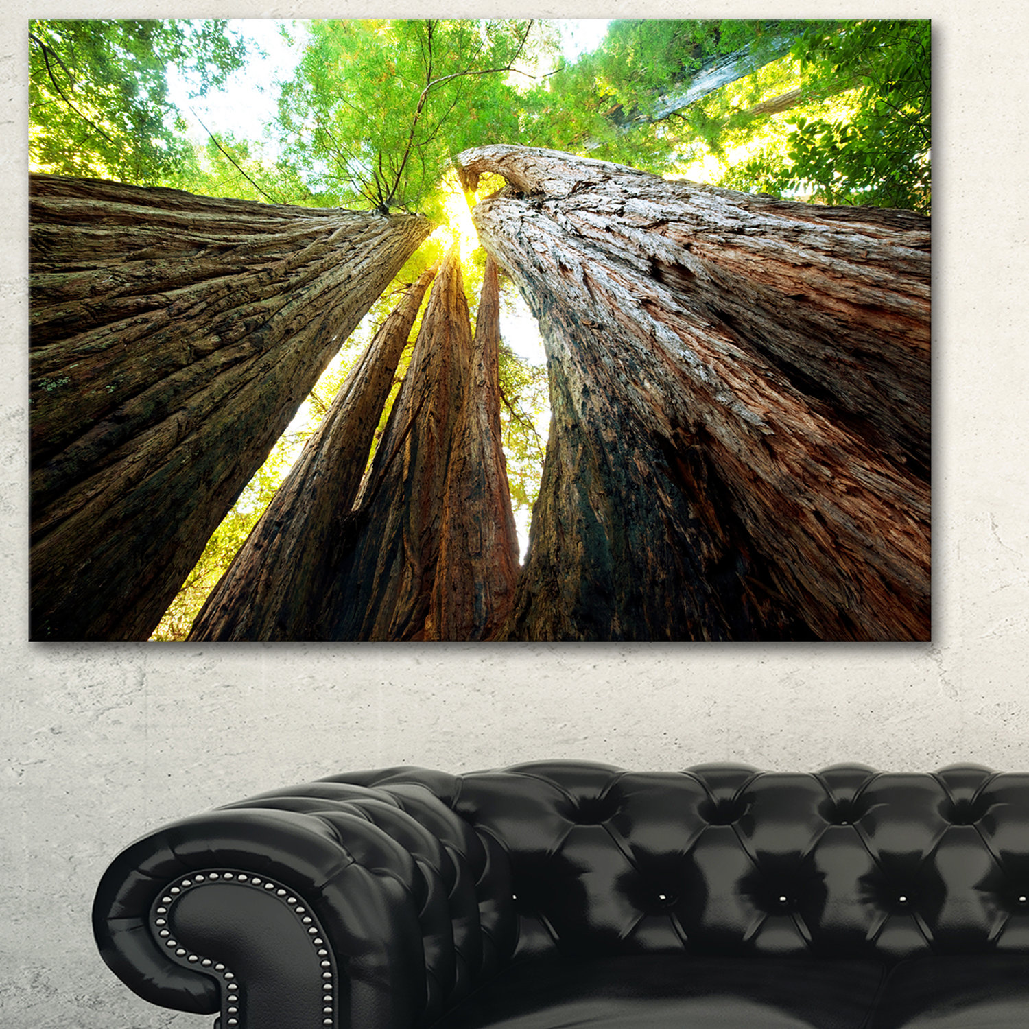 "Sequoia Tree" Photography Canvas Art Print, 32"x16" - Contemporary ...