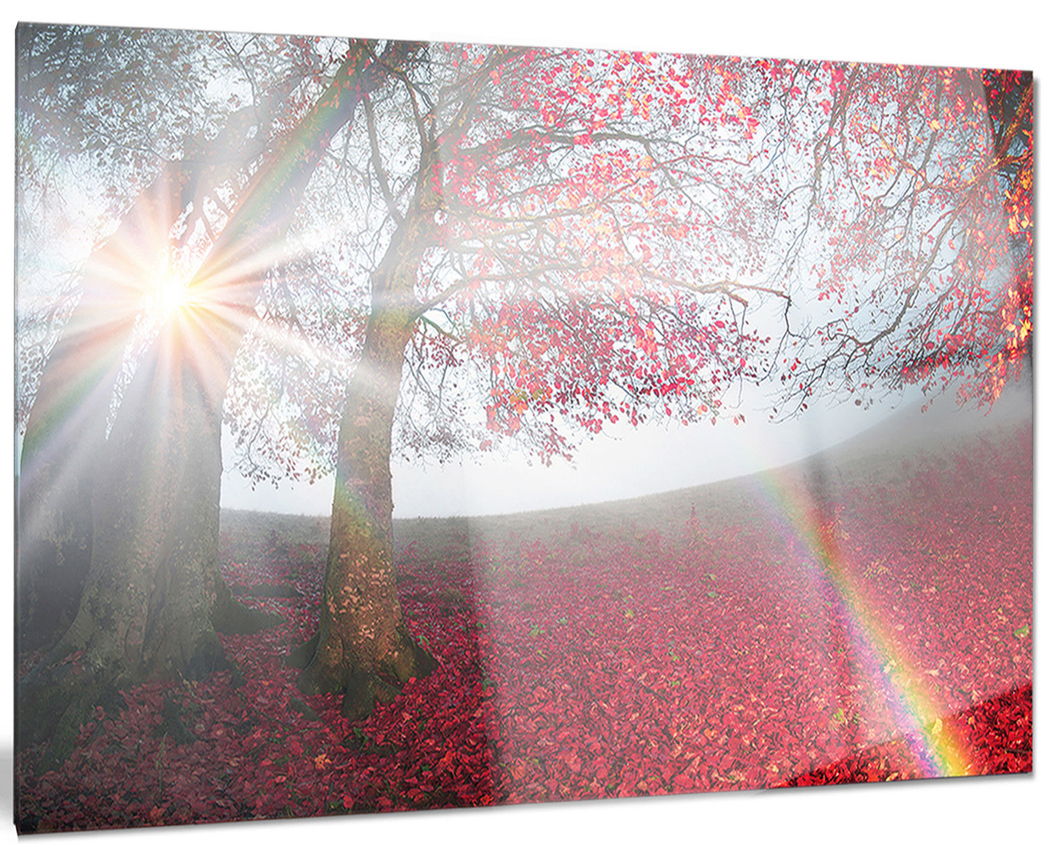 "Foggy Forest After Heavy Storm" Photo Metal Wall Art, 28"x12 ...