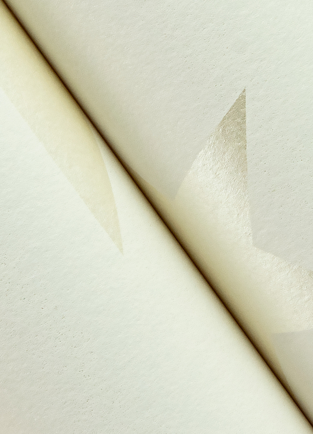 Amira Cream Stars Wallpaper, Swatch - Contemporary - Kids Wall Decor ...